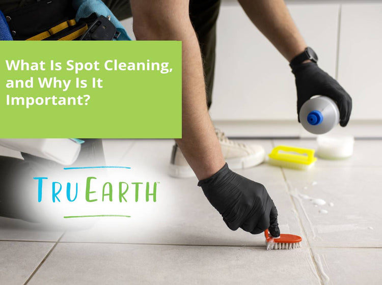 What Is Spot Cleaning, and Why Is It Important? – Tru Earth US